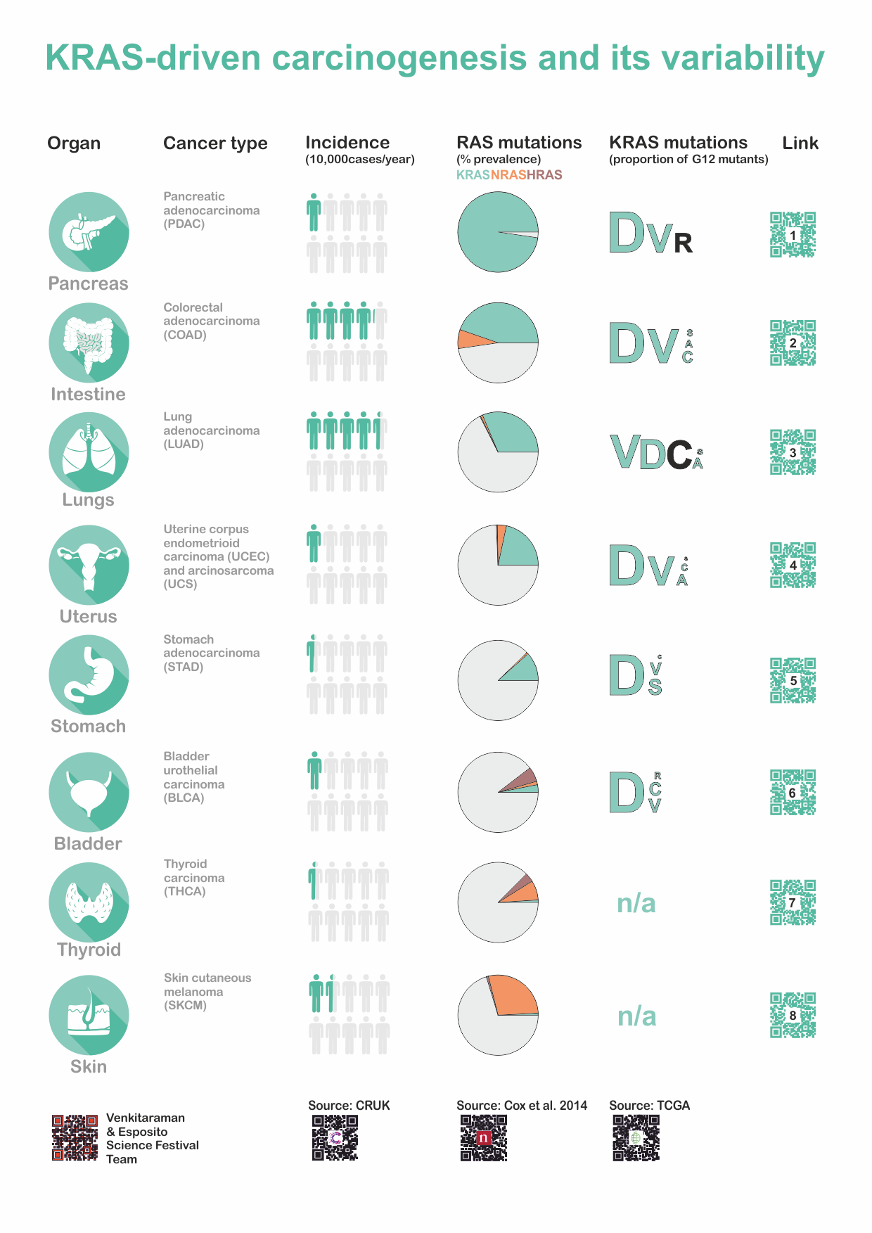 KRAS-driven tumours (CamScience) – Quantitative Cancer Biology ...